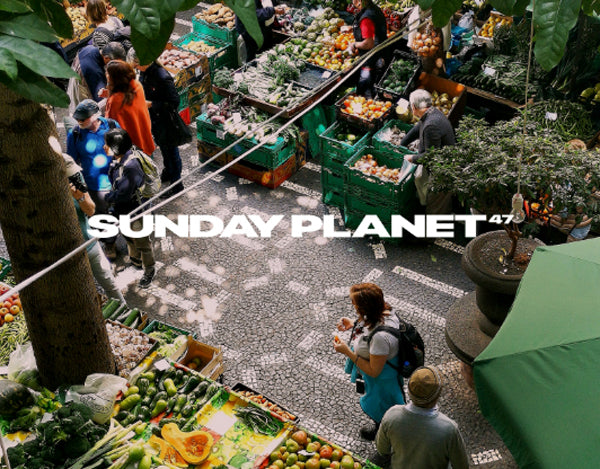 Sunday Planet 47 – GENERAL FURNISHINGS & CO.